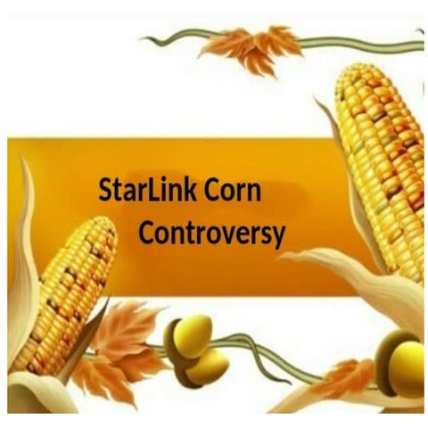 Michael-Labe-Starlink-corn controversy-ppt.pptx