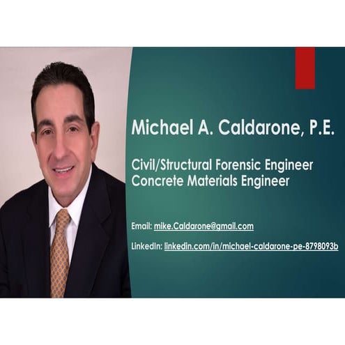 Michael Caldarone - Profile.pdf
