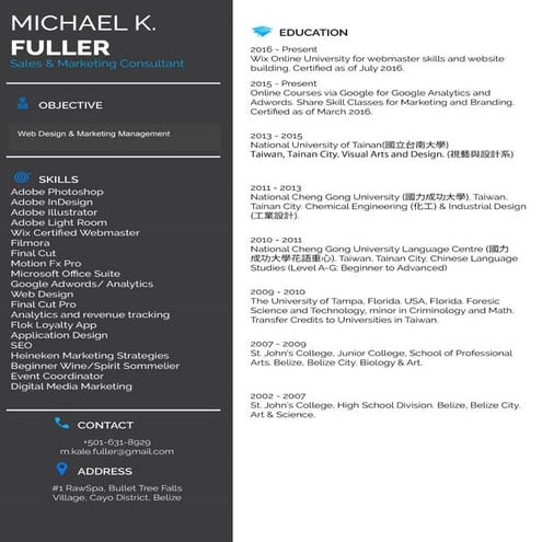 Michael fuller cv | PDF