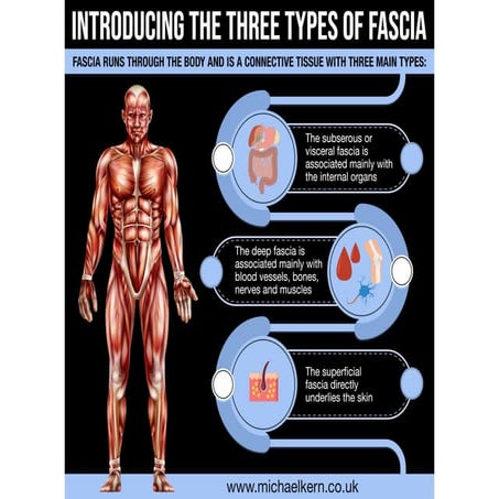 Introducing the Three Types of Fascia | PPT