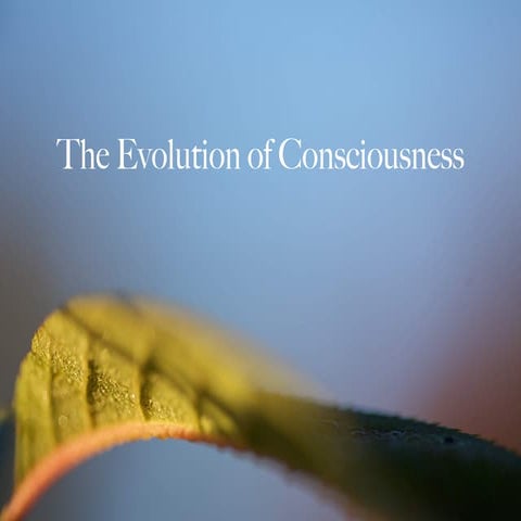 The Evolution of Consciousness | PPT