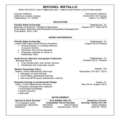 Michael metallo resume | DOCX