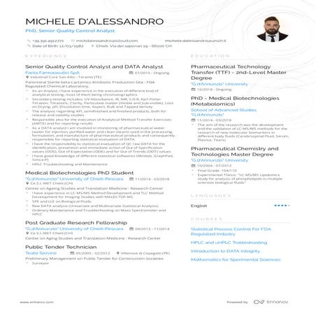 Michele Dalessandro Resume | PDF