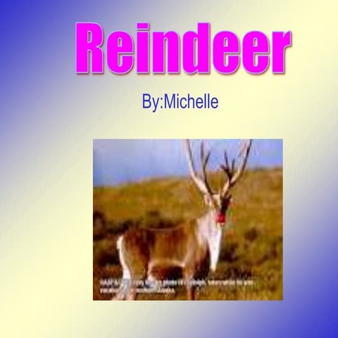 Reindeer by Michelle | PPTX