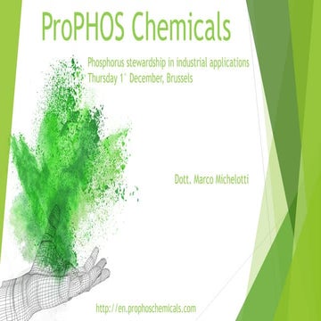 Marco Michelotti and William Grandi - ProPHOS Chemicals - Innovative ...