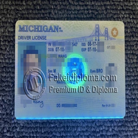 Michigan ID | PPT