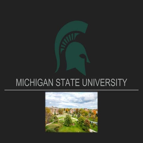 Ins and Outs of Michigan State University | PPTX