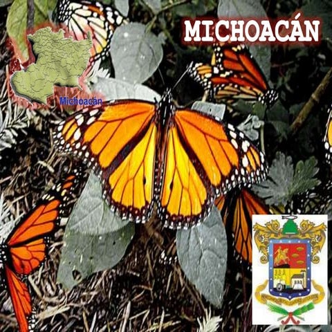 Michoacan | PPTX