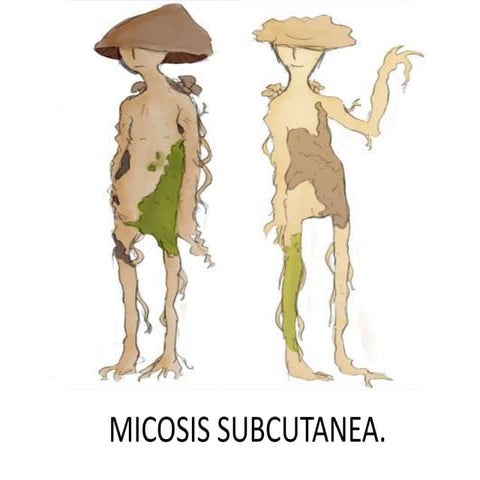 MICOSIS SUBCUTANEA.pptx