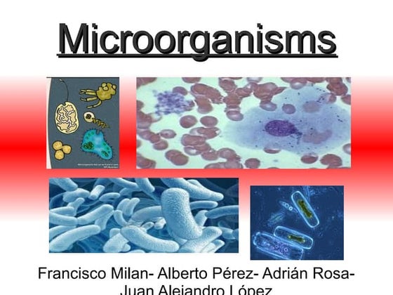 Grade 8: Microorganisms. | PPTX | Biological Sciences | Science