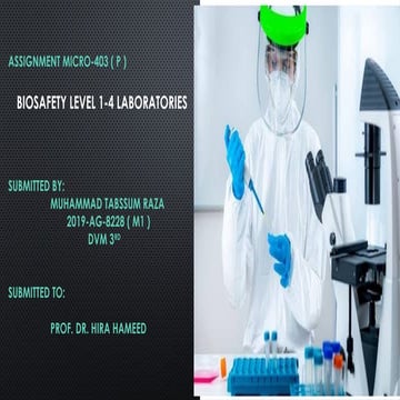 Biosafety levels from 1-4 in Laboratories | PPTX