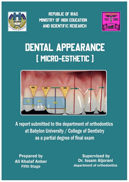 MINI-ESTHETICS AND MICRO-ESTHETICS.pptx