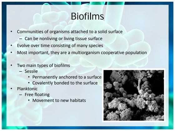Microbial biofilm | PPTX