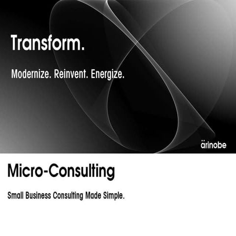 Micro consulting | PDF