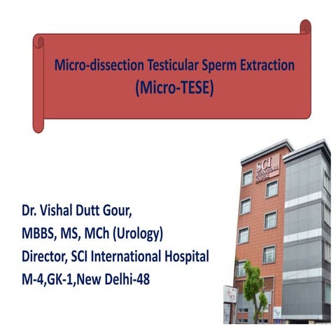 Micro tese Specialist | PPTX