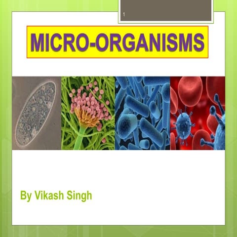 मानव पाचन तंत्र (Human Digestive System ).pdf