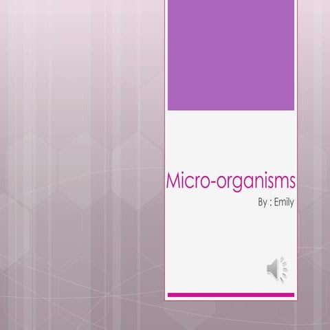 Micro organisms | PPTX