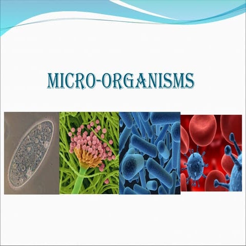 micro-organisms- Bhavin Chaudhary Class 8.ppt