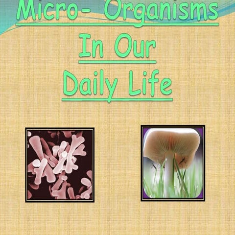 Micro organisms | PPTX