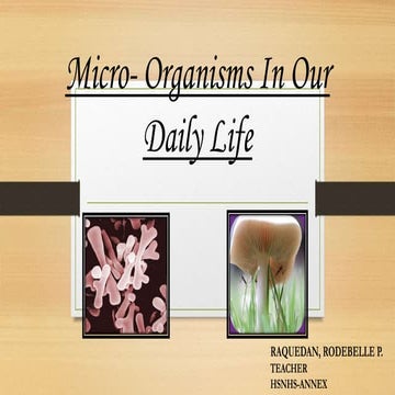 Micro organisms in our daily life | PPTX