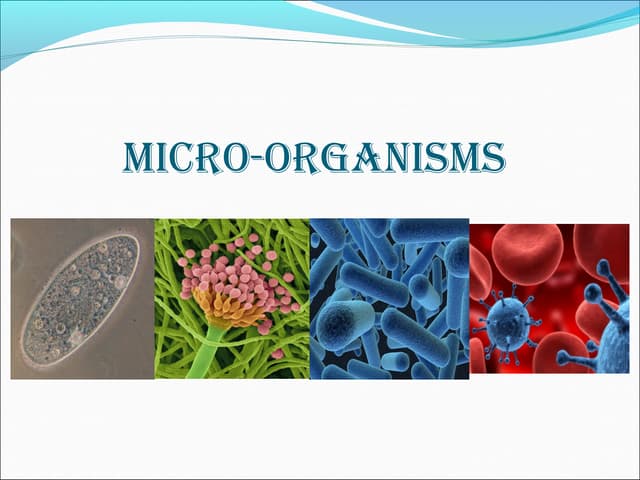 Microorganisms | PPTX