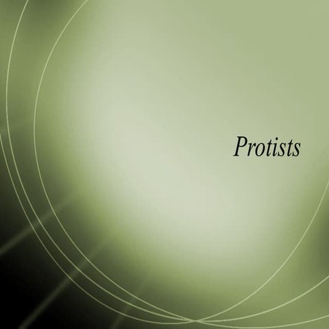 Protists | PPT