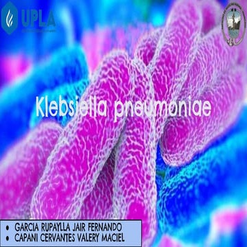 Klebsiella | PPTX