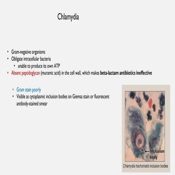 Chlamydia and Reckettsia (1).ppt bacteriology | PPT