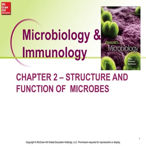 IGCSE-Biology-Lecture-2_-Variety-of-Living-Organisms.pptx