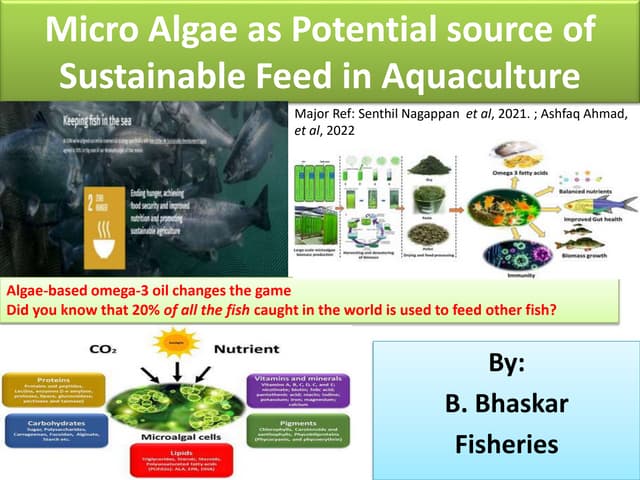 Aquaculture | PPT