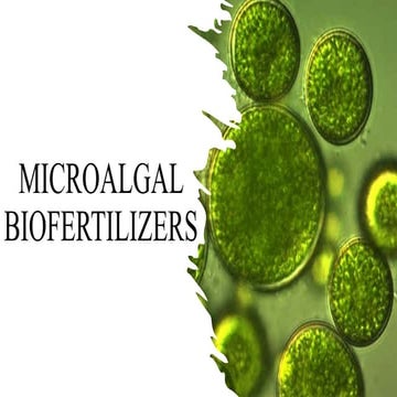 MICROALGAL BIOFERTILIZERS , Microalgal technology | PPTX