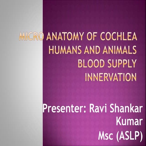 Micro anatomy of cochlea humans and animals | PPTX