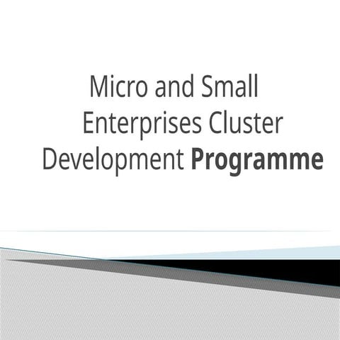 Micro and Small Enterprises Cluster Development ppt.pptx
