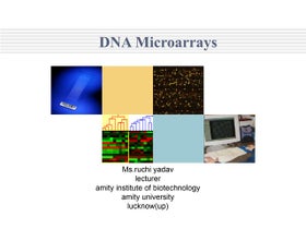 MICROARRAY | PPT