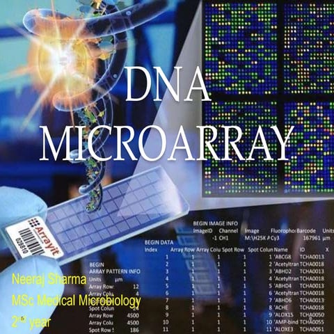 DNA microarray