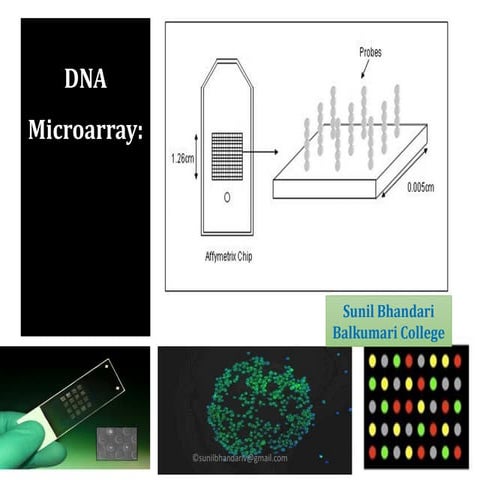 Microarray | PPT