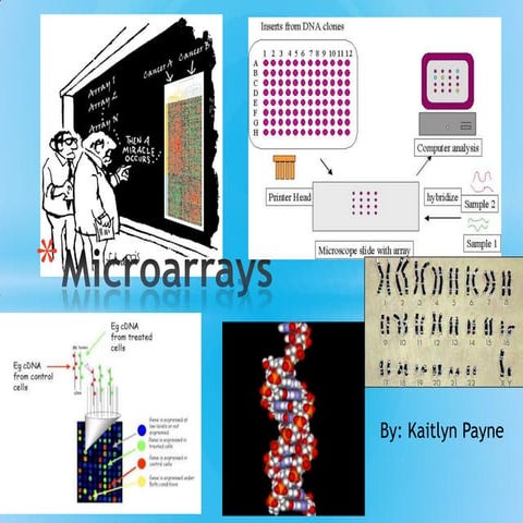 Microarrays | PPT