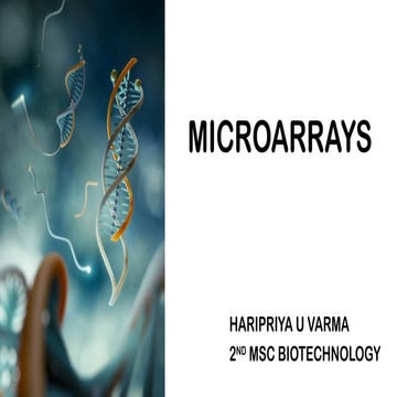 MICROARRAYS - Bioinformatics and Genetic Engineering | PPTX ...