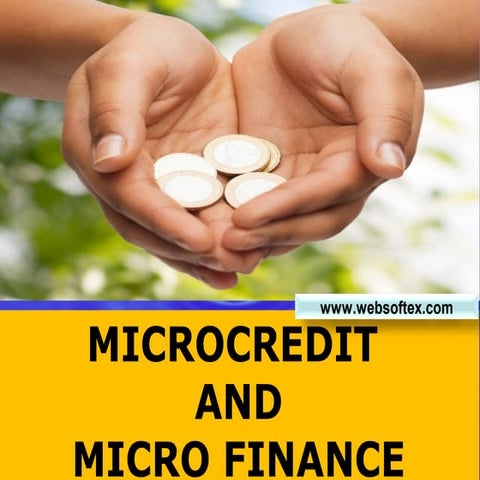 Micro banking, simple enterprise, make profit with microfinance | PPT