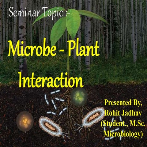Microbe plant interaction | PPT