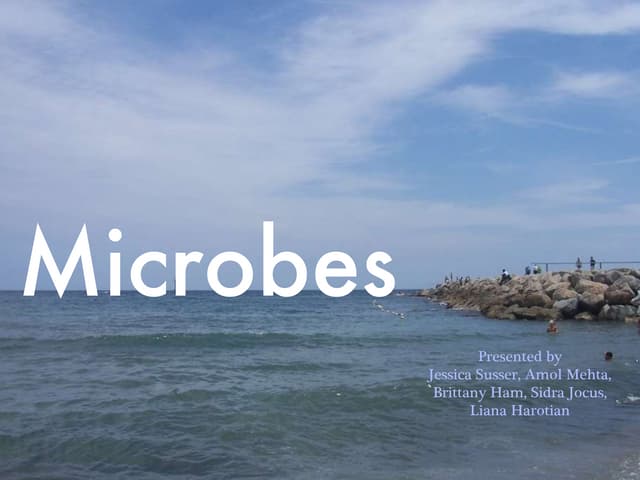 marine microorganisms.pptx