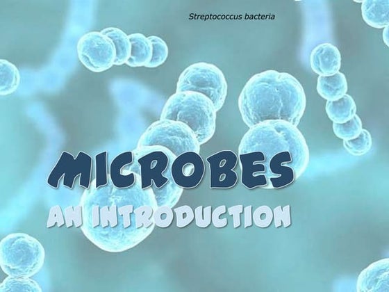 Grade 8: Microorganisms. | PPTX | Biological Sciences | Science