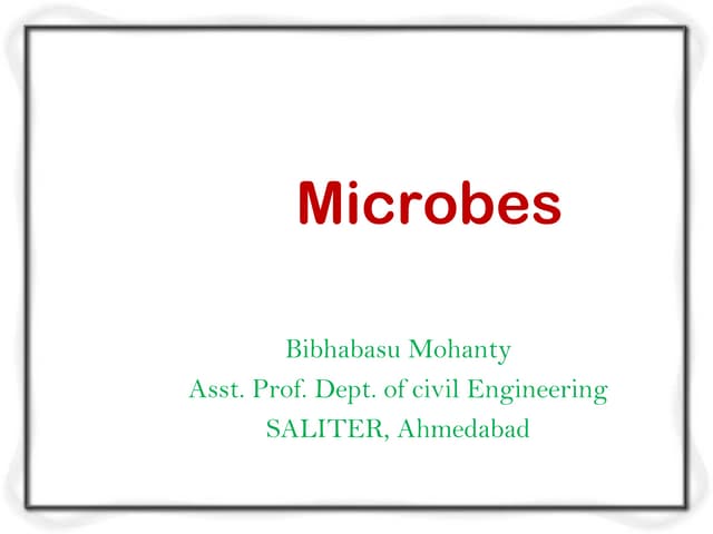 Microorganisms Pptx 9619