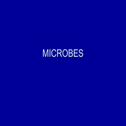 Microbes | PPT