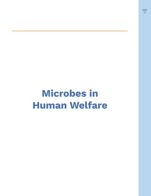 Microbes in Human Welfare PPT Class - 12 | PPTX