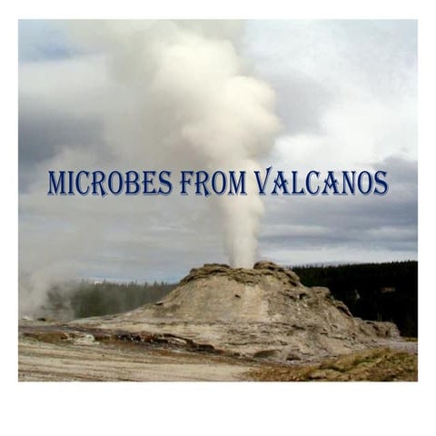 Microbes from valcanos | PPT