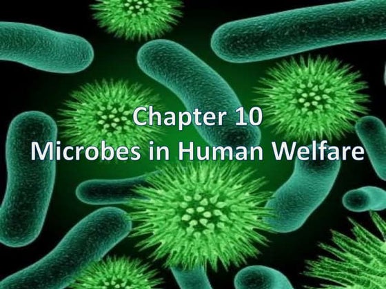 Microbes in Human Welfare PPT Class - 12 | PPTX