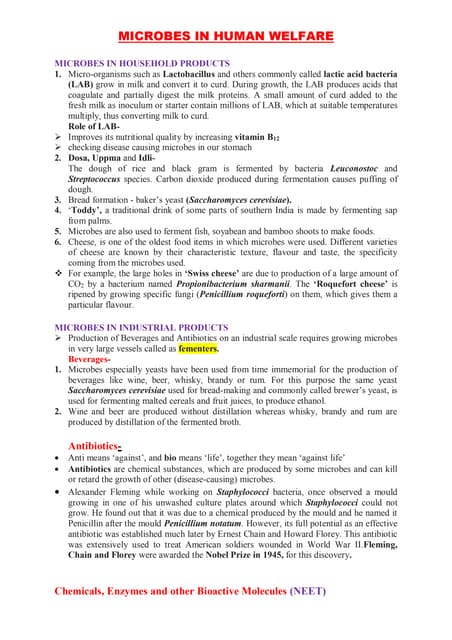 Microbes in Human Welfare PPT Class - 12 | PPTX