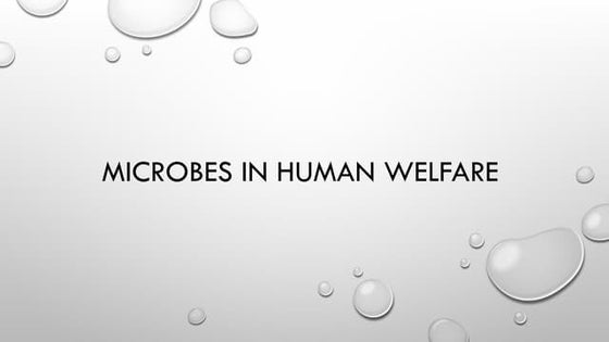 Microbes in Human Welfare PPT Class - 12 | PPTX