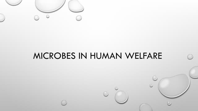 Microbes in Human Welfare PPT Class - 12 | PPTX